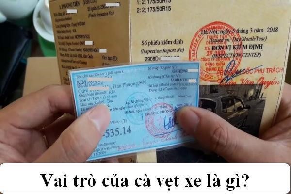 Cà vẹt xe là gì? Tổng hợp những thông tin mới nhất dành cho bạn
